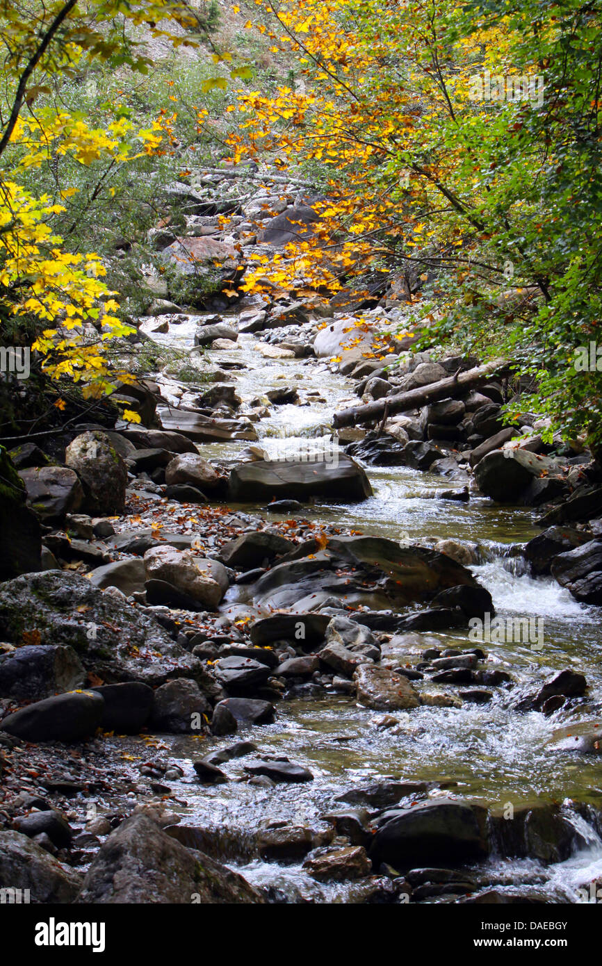 creek Lobentalbach, Germany, Bavaria, Allgaeu, Halblech Stock Photo - Alamy