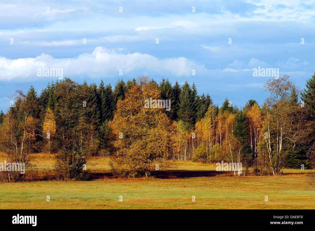 Alpine foothills in autumn, Germany, Bavaria, Oberbayern, Upper Bavaria ...