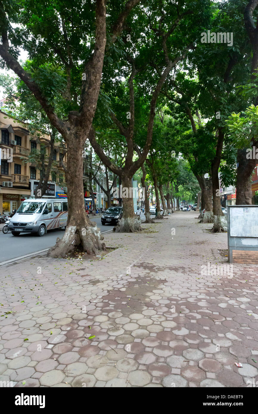 Tree Lined Boulevard in Hanoi, Vietnam Stock Photo - Alamy