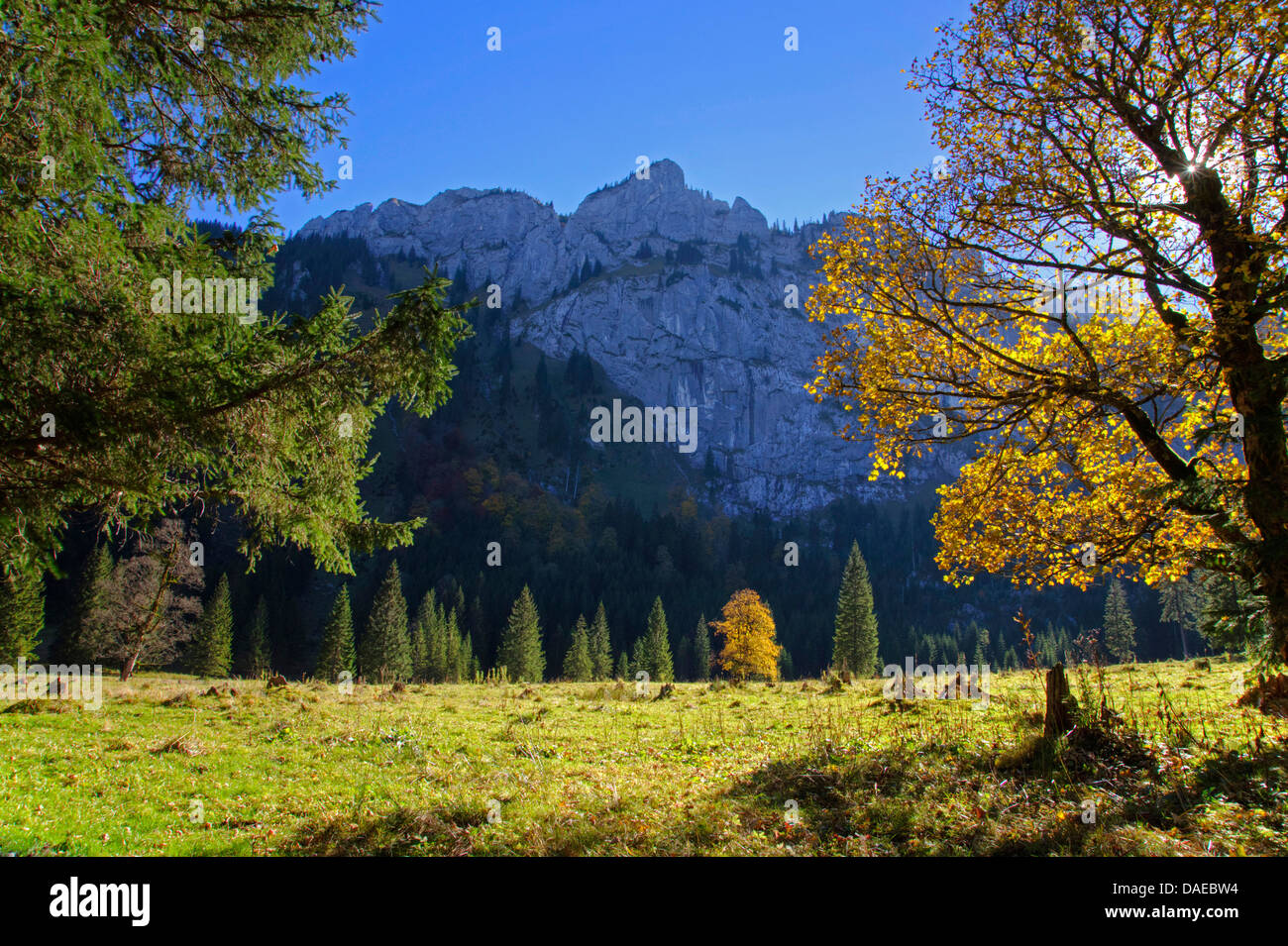 Ammergau Alps in autumn, Germany, Bavaria, Oberbayern, Upper Bavaria ...