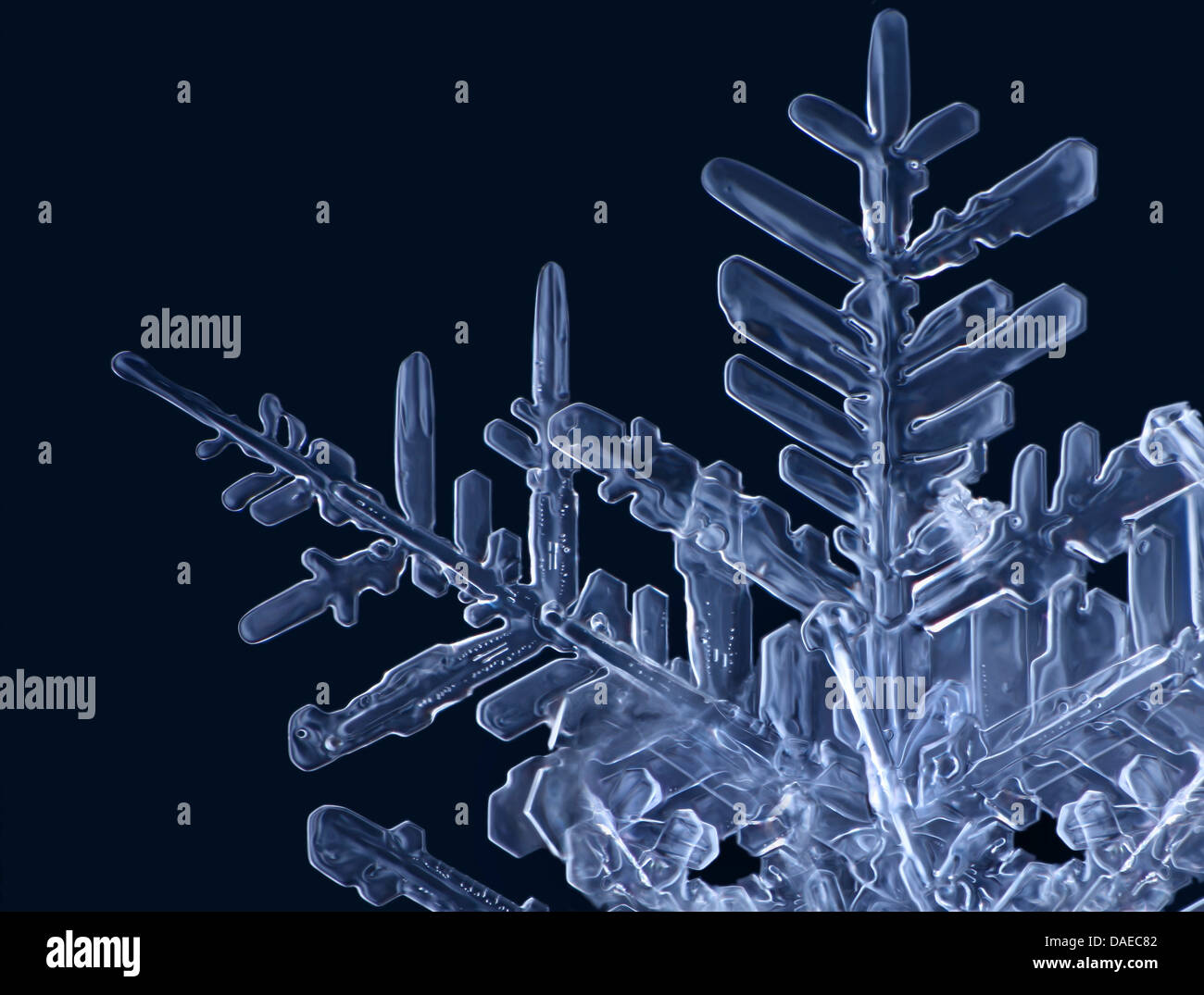 Snowflake microscope hi-res stock photography and images - Alamy
