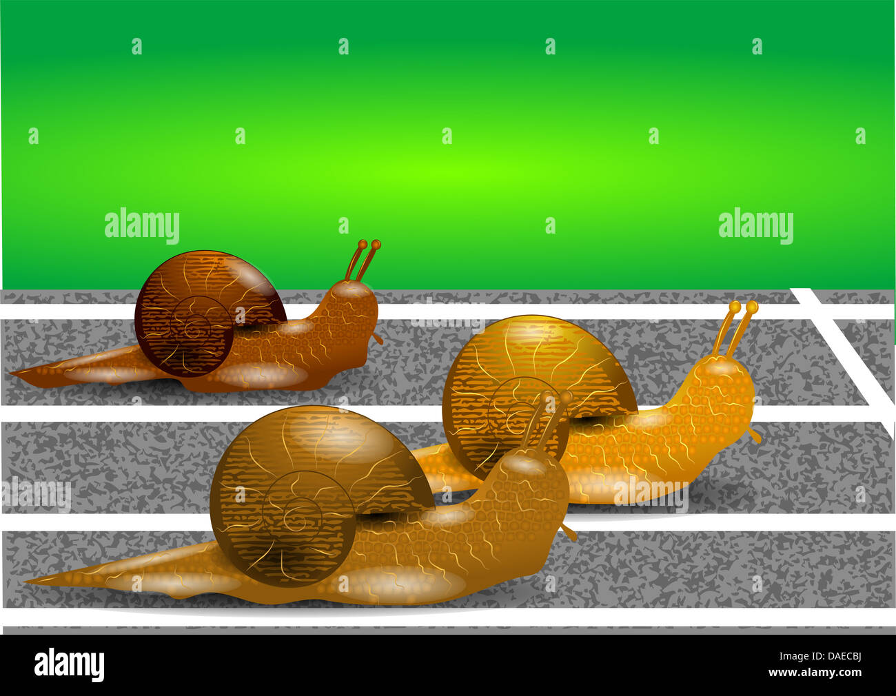 three snails on a racetrack Stock Photo - Alamy