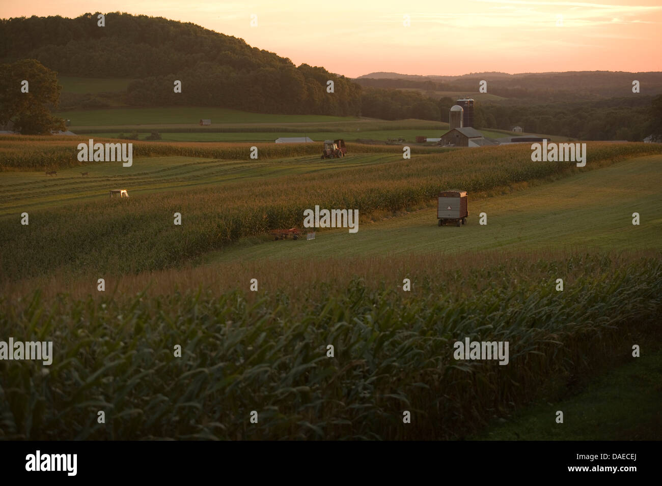 FARM CORNFIELDS HARVEST BROOKVILLE PENNSYLVANIA USA Stock Photo - Alamy