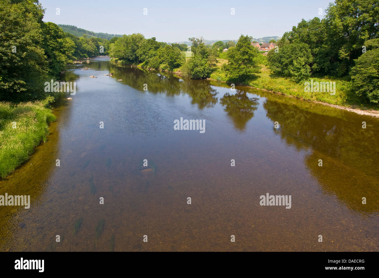 River Wye looking upstream from Boughrood Powys Mid Wales UK Stock ...