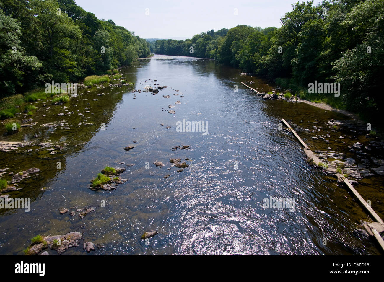 River wye riverbank powys trees hi-res stock photography and images - Alamy