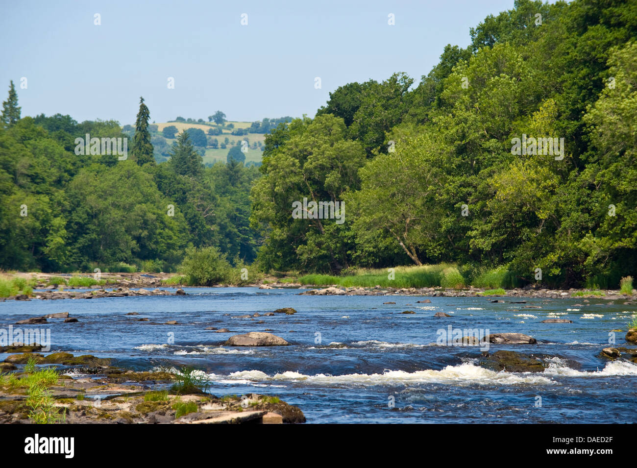 River Wye looking upstream at Llanstephan Powys Mid Wales UK Stock ...