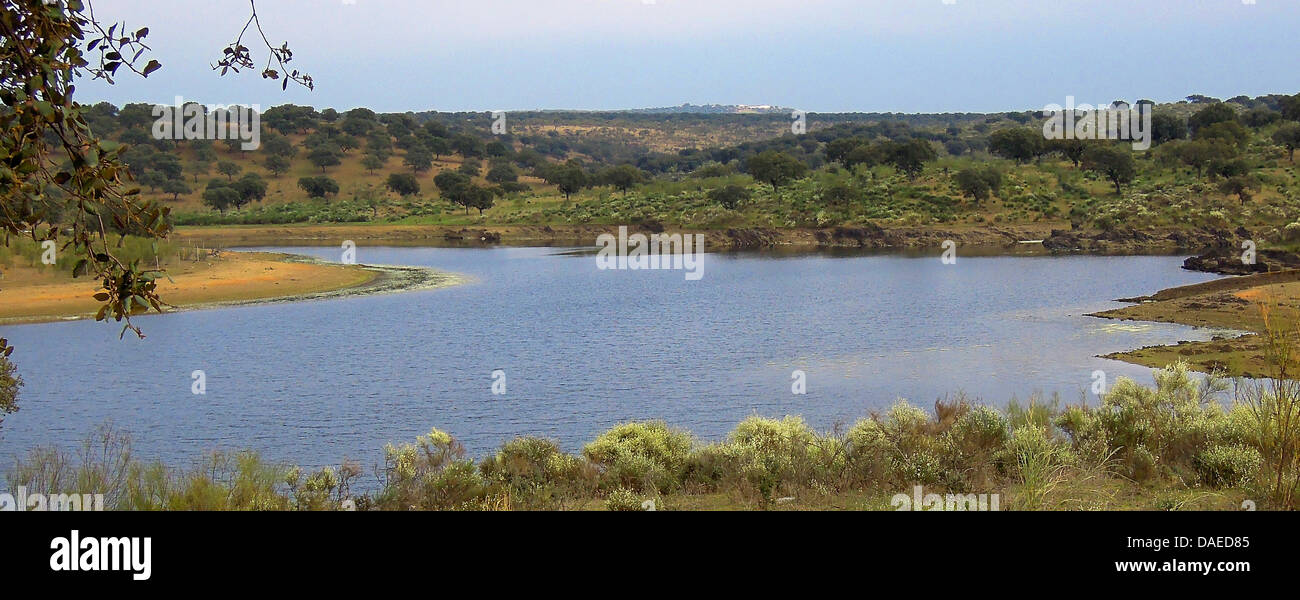 habitat of sharp-ribbed newt, marbled newt, viperine snake and Maurish ...