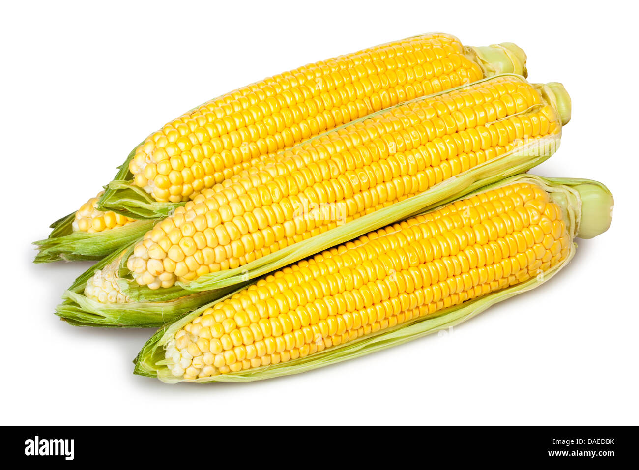Corn ear hi-res stock photography and images - Alamy