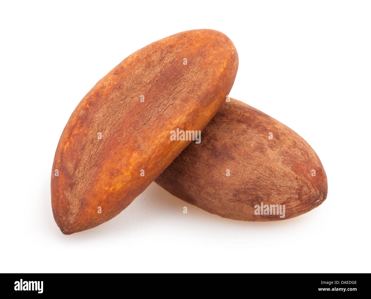 brazil nuts two on white background Stock Photo - Alamy