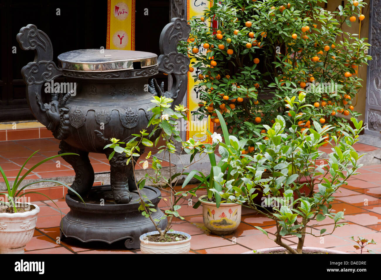 Chinese pot hi-res stock photography and images - Alamy
