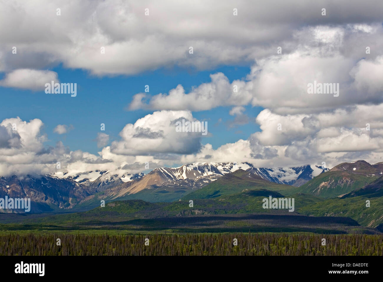 Kluane national park and reserve hi-res stock photography and images ...