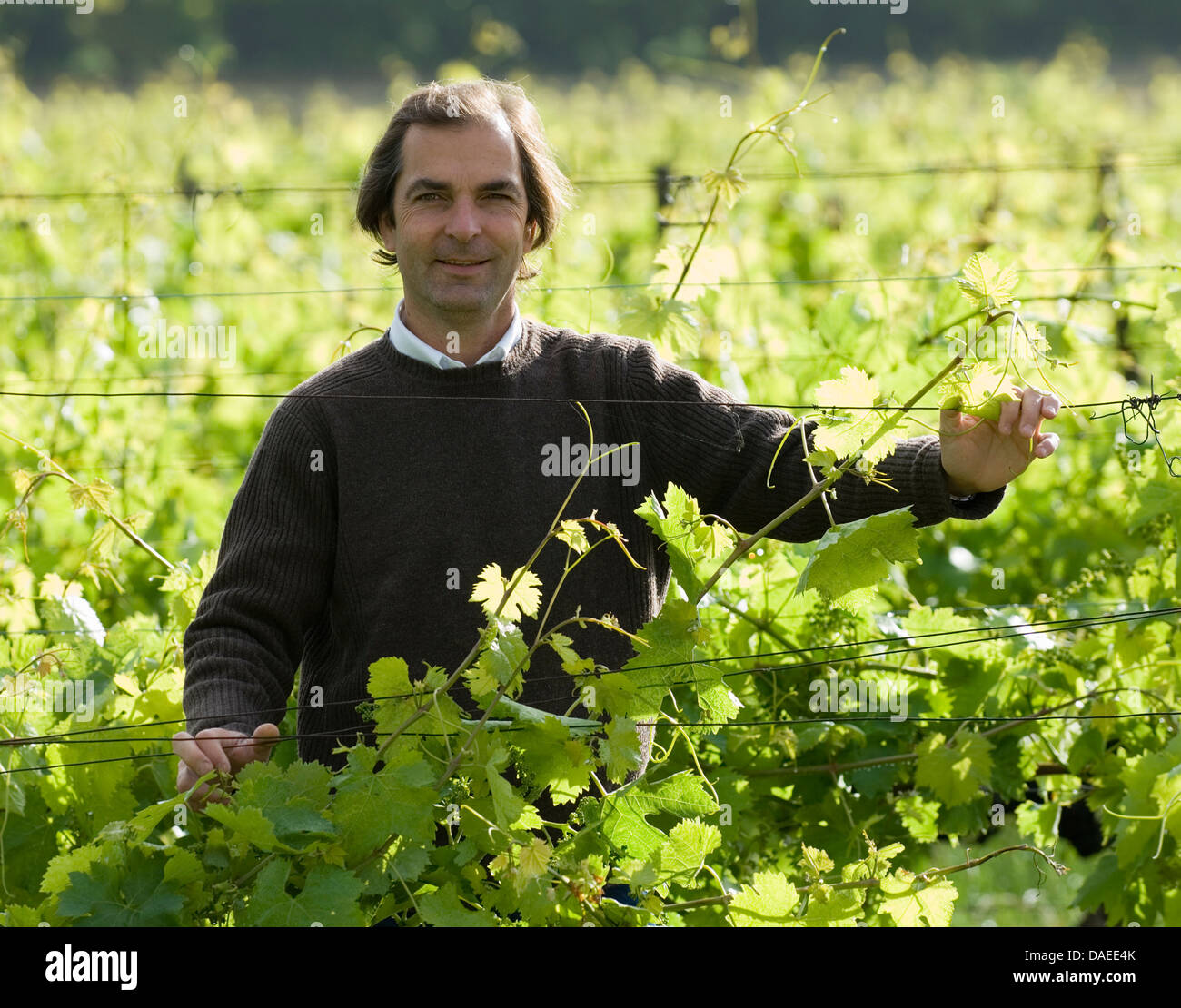 Among vines hi-res stock photography and images - Alamy