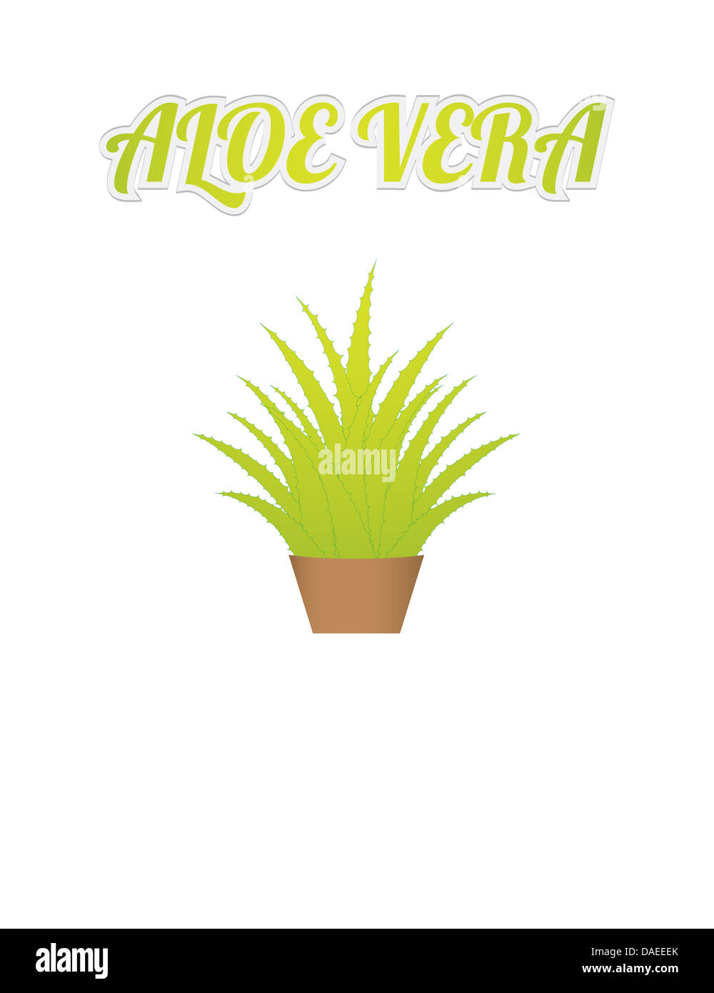 aloe vera background Stock Photo - Alamy