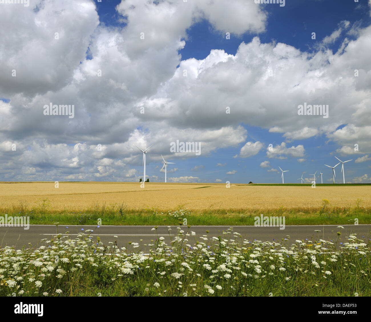 German wind turbines hi-res stock photography and images - Alamy