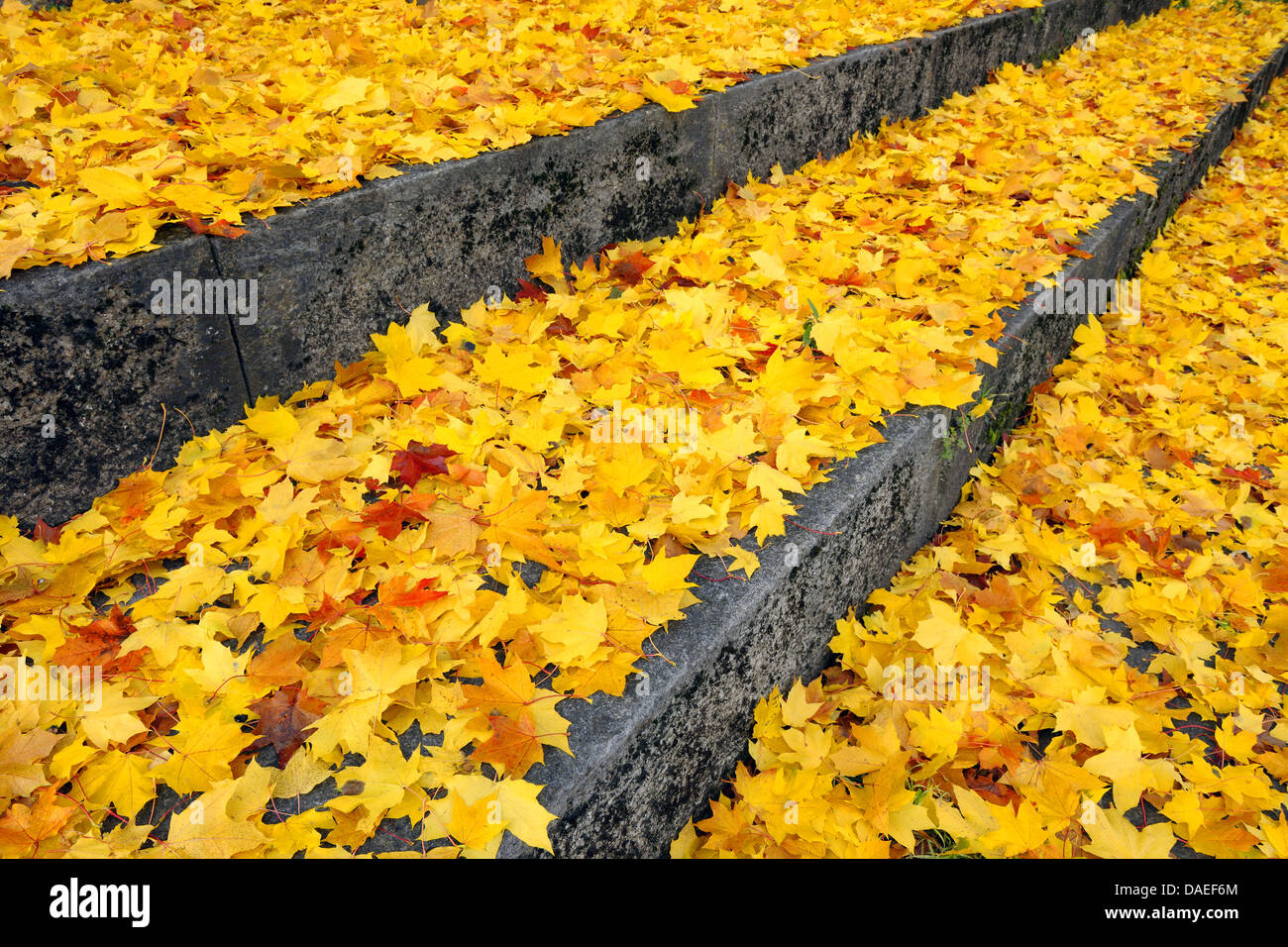 Golden Steps High Resolution Stock Photography and Images - Alamy