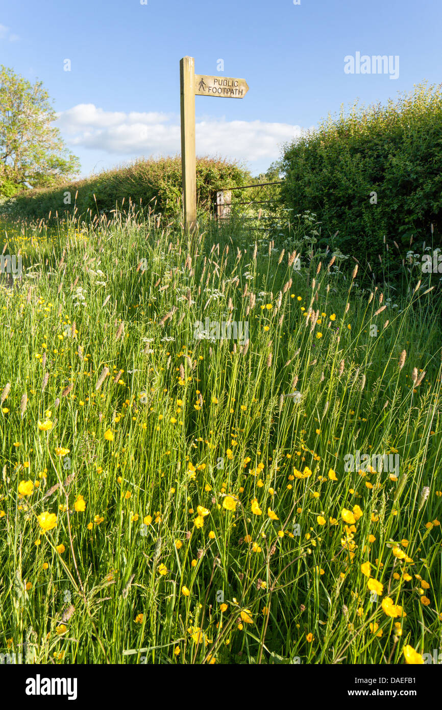 Public footpath sign in Wildflower meadow, Worcestershire, England, UK ...