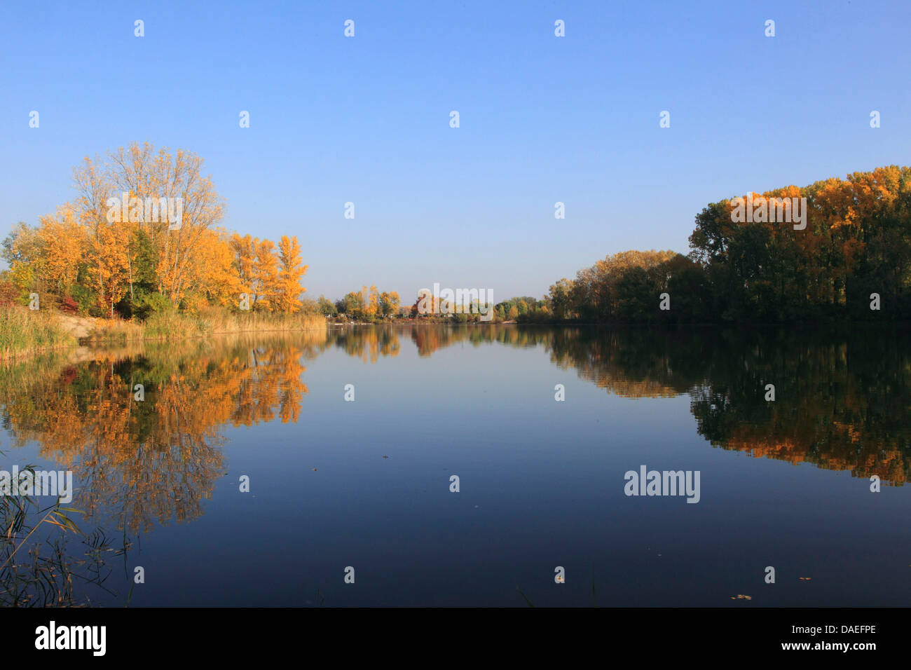 Floodplain ecosystems hi-res stock photography and images - Alamy