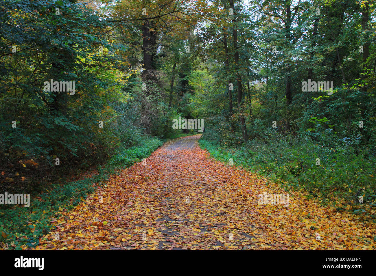 Floodplain Ecosystems High Resolution Stock Photography and Images - Alamy