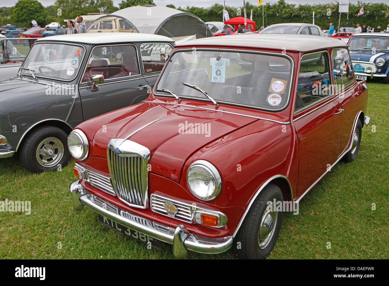 A Mini on display at Norman Park Classic Car show 2013 Stock Photo - Alamy