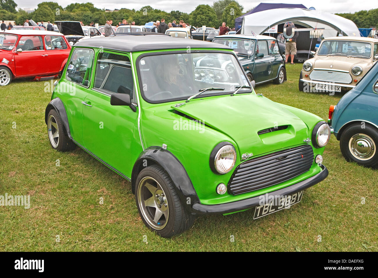 A Mini on display at Norman Park Classic Car show 2013 Stock Photo - Alamy