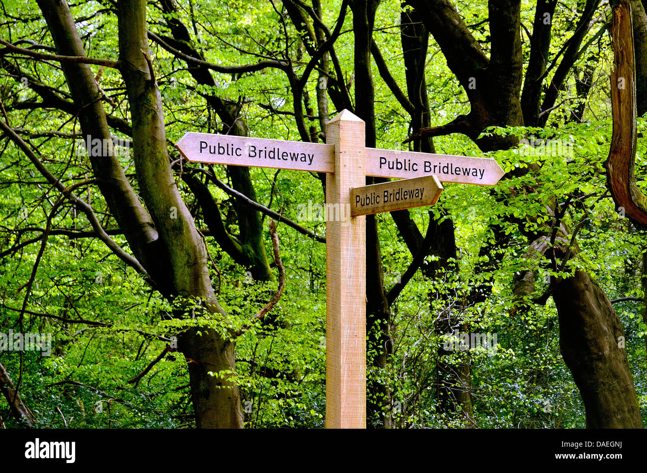 Wooded countryside hi-res stock photography and images - Alamy