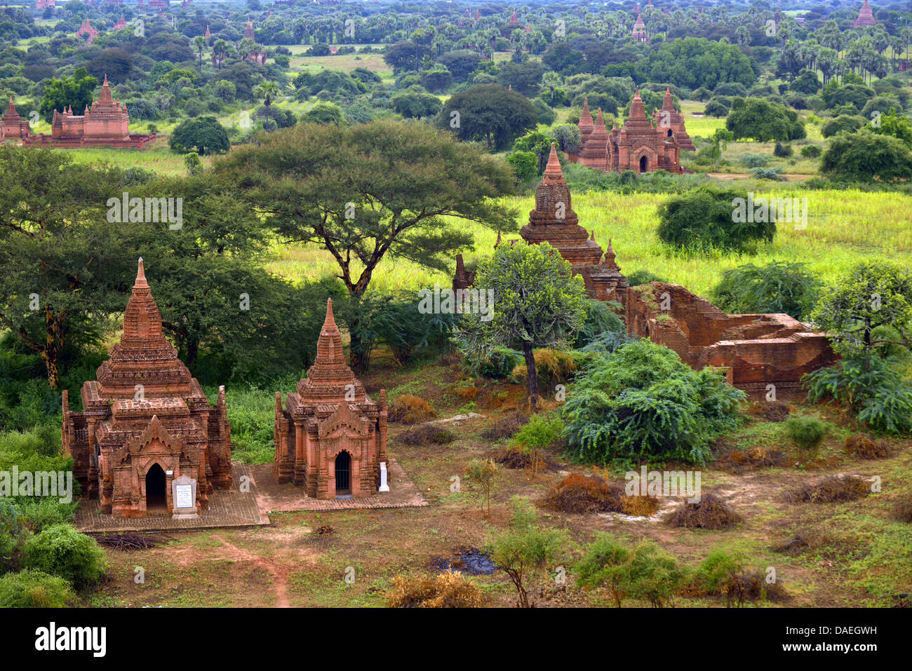 panoramic view over Buddhistic temple complexes in the Bagan area, the ...