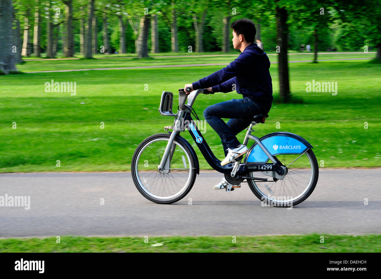 A man riding "Boris bike" in Kensington Gardens, London, UK Stock Photo ...