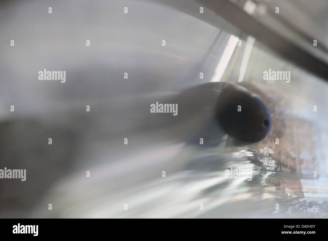 Abstract with glass distortion of the reflection Stock Photo - Alamy