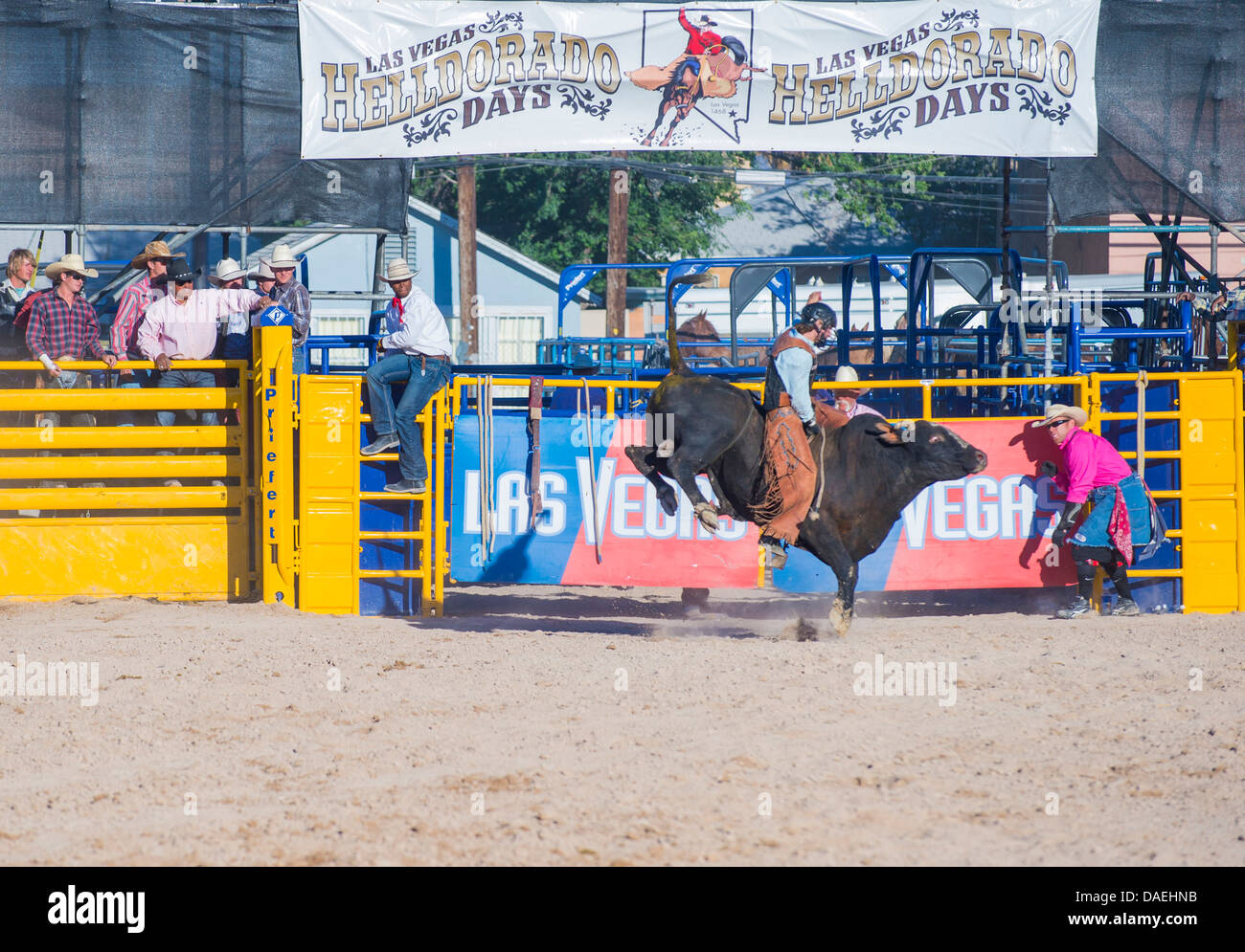 Rope sport bull hi-res stock photography and images - Alamy
