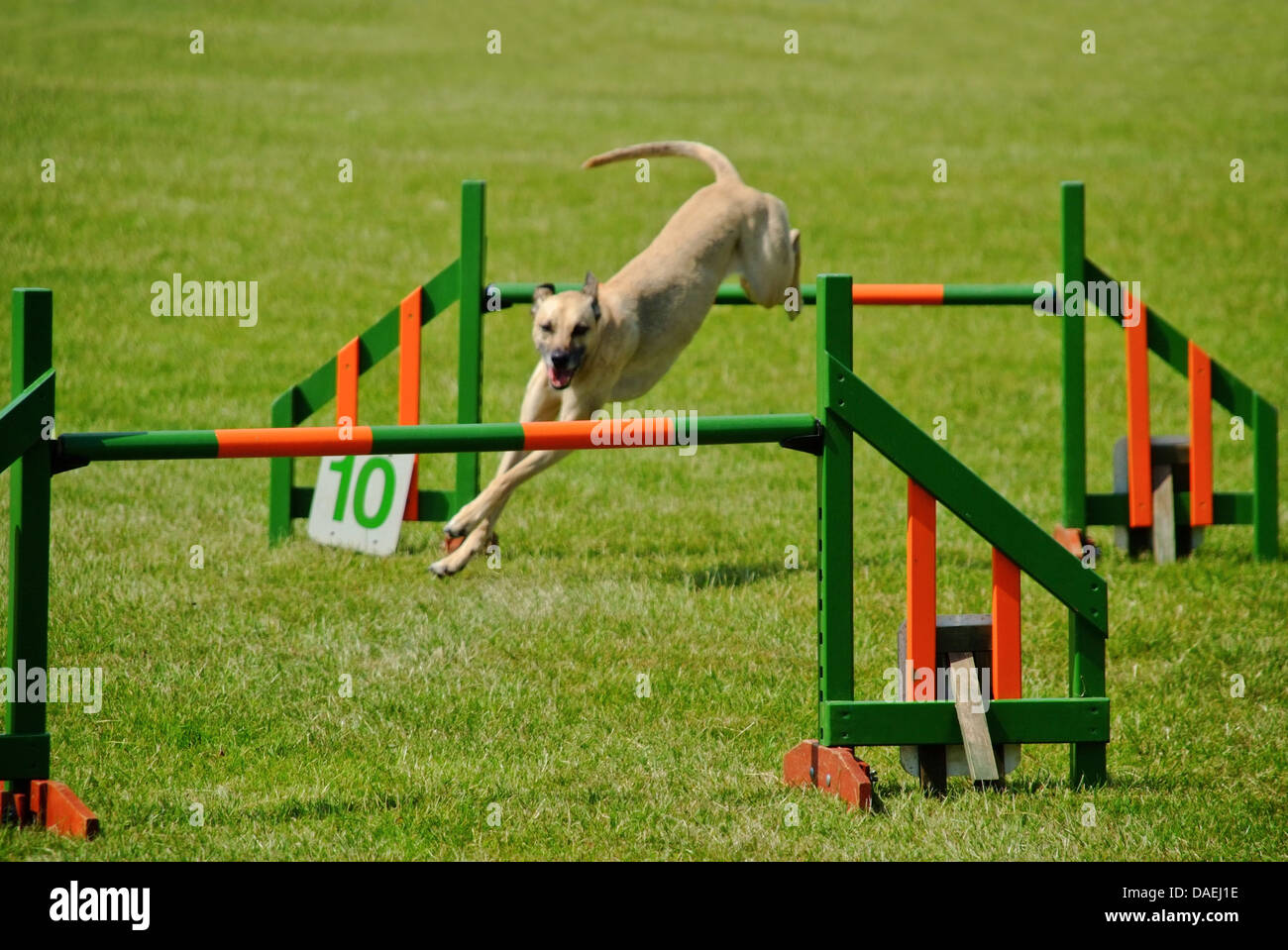 Jumping poles hi-res stock photography and images - Alamy