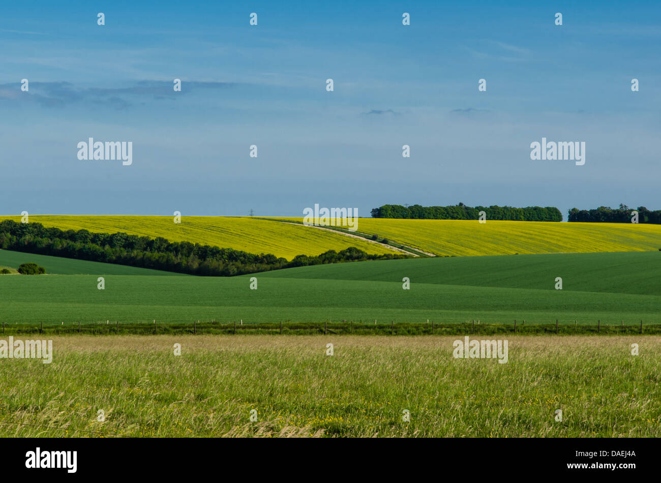 England countryside in summer Stock Photo - Alamy