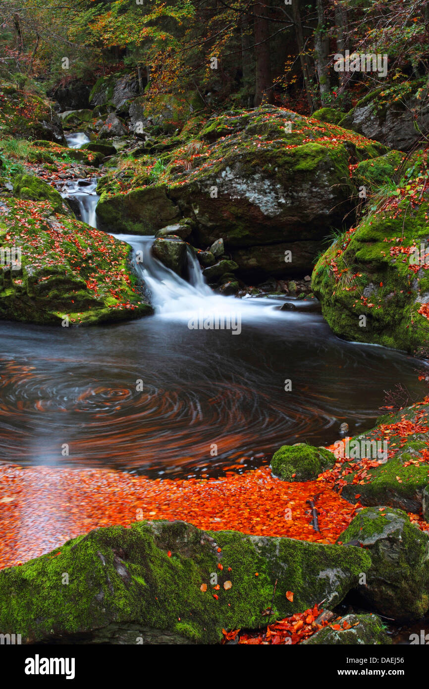 Steinklamm george, Germany, Bavaria, Bavarian Forest National Park ...