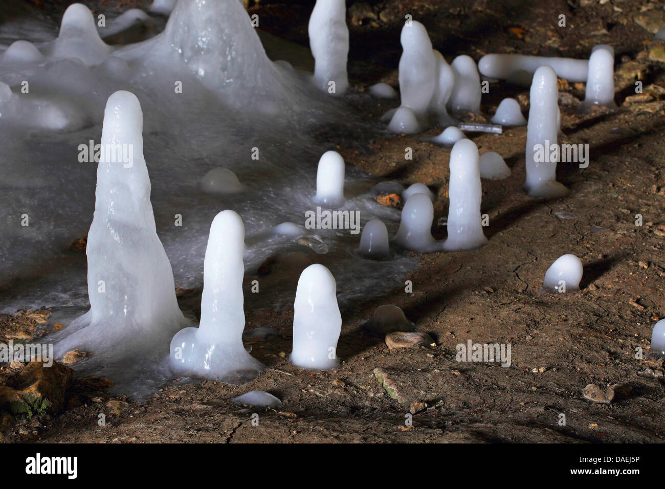 ice stalagmites in a cave, Germany, Baden-Wuerttemberg, Ostalb Stock ...