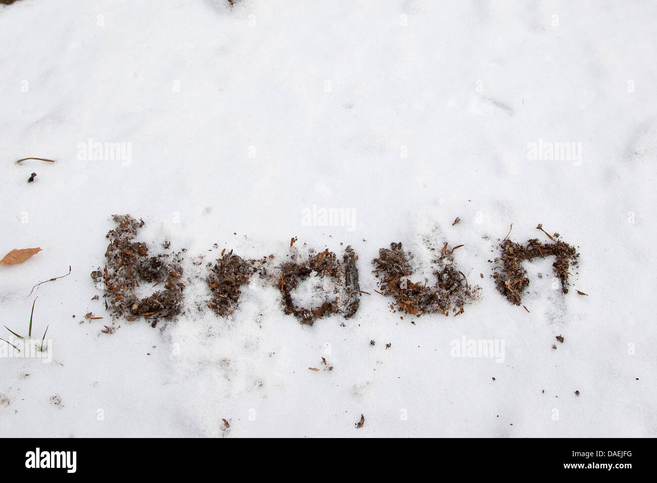Forest letters hi-res stock photography and images - Alamy