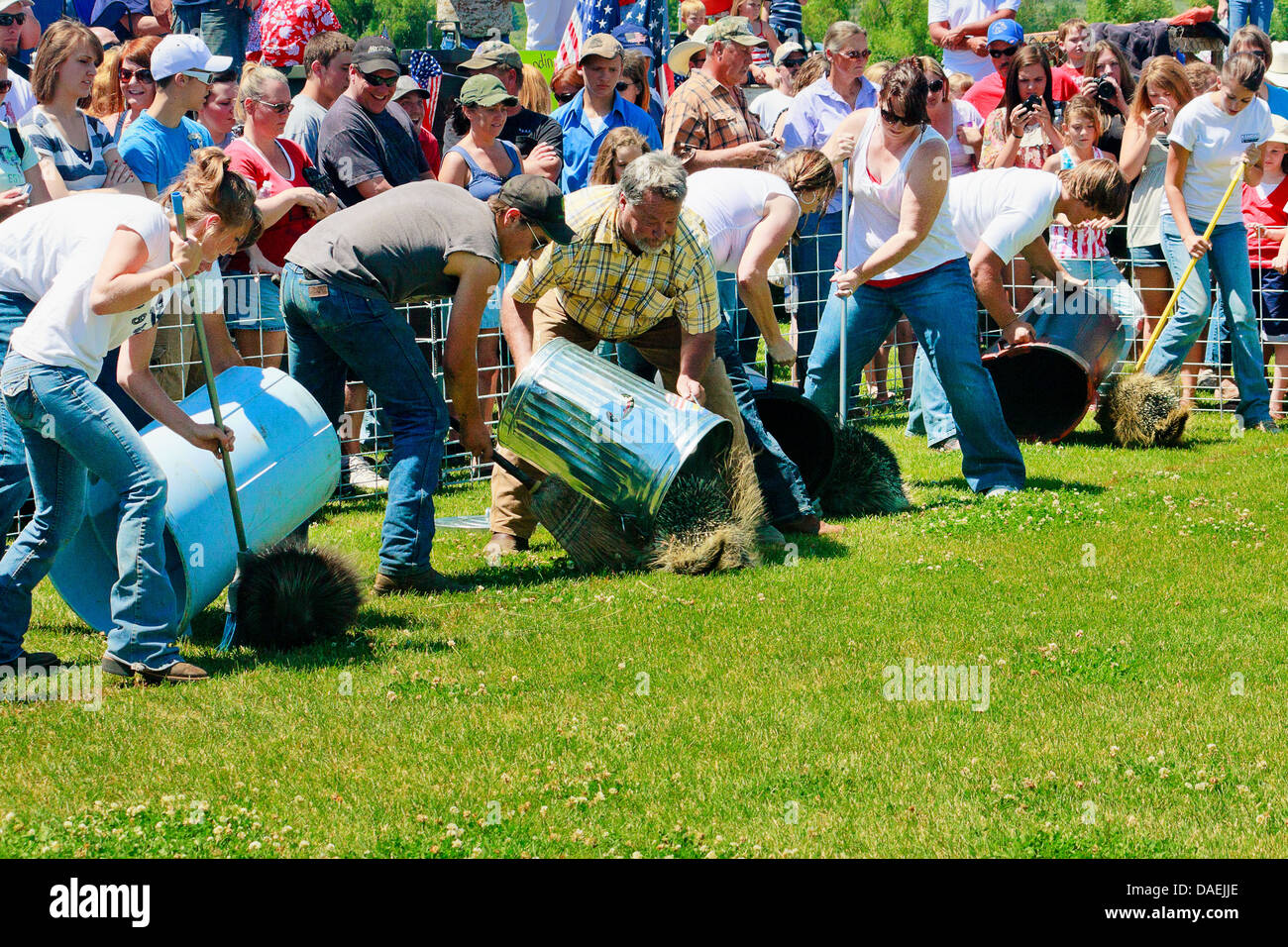 Porcupine race hi-res stock photography and images - Alamy
