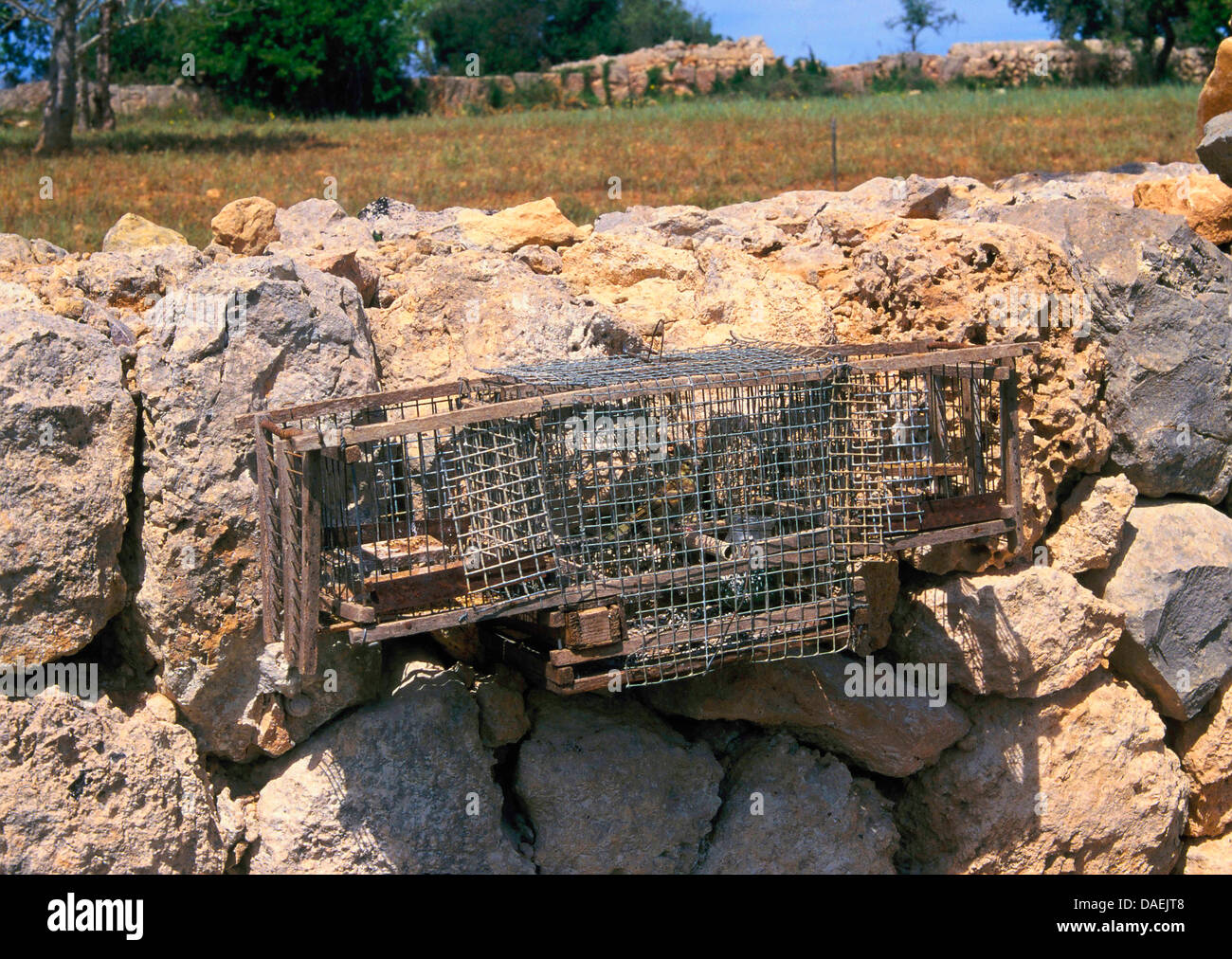 Catch method hi-res stock photography and images - Alamy