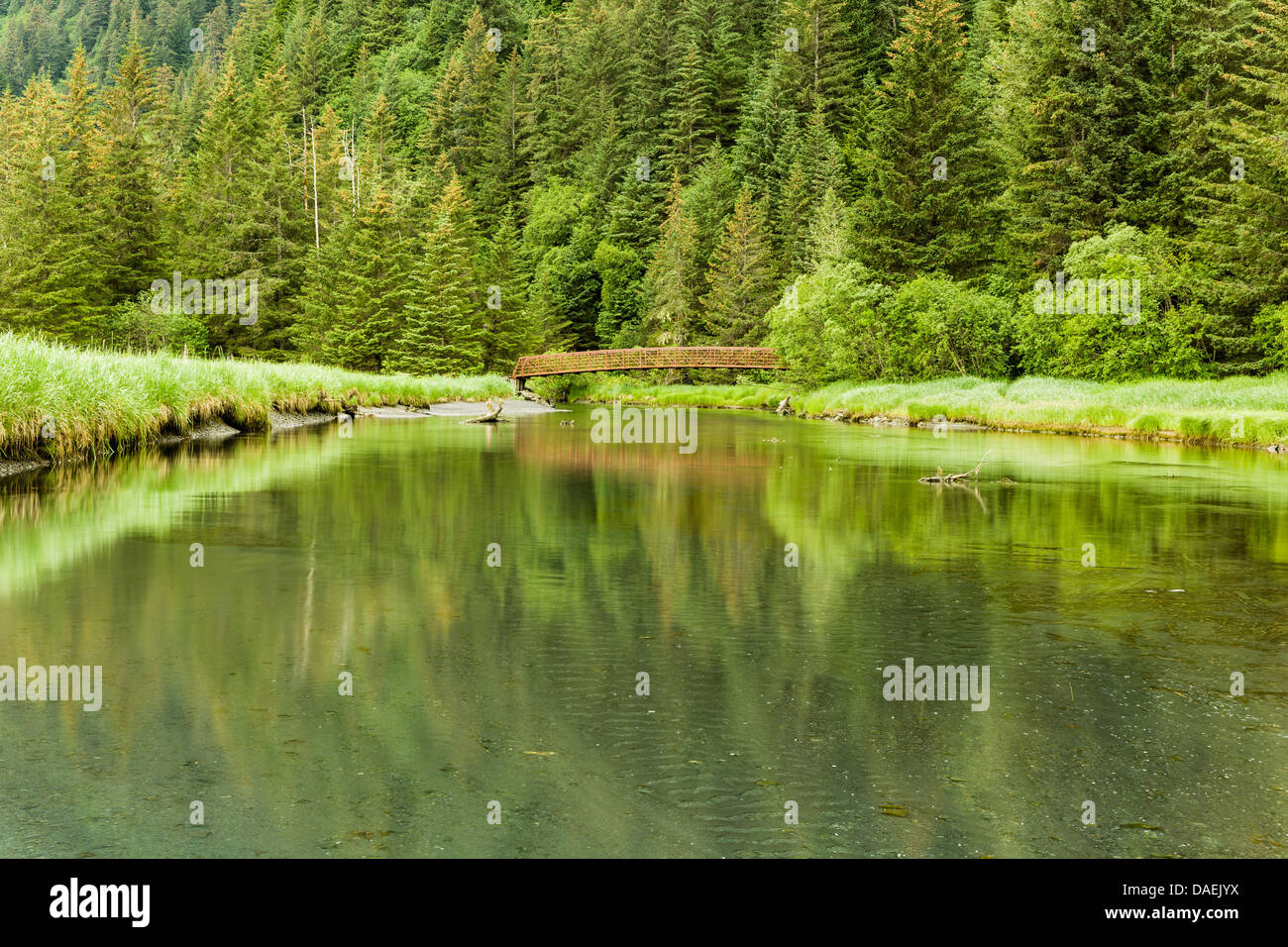 The foot bridge for Caines Head Trail over Tonsina Creek is reflected ...