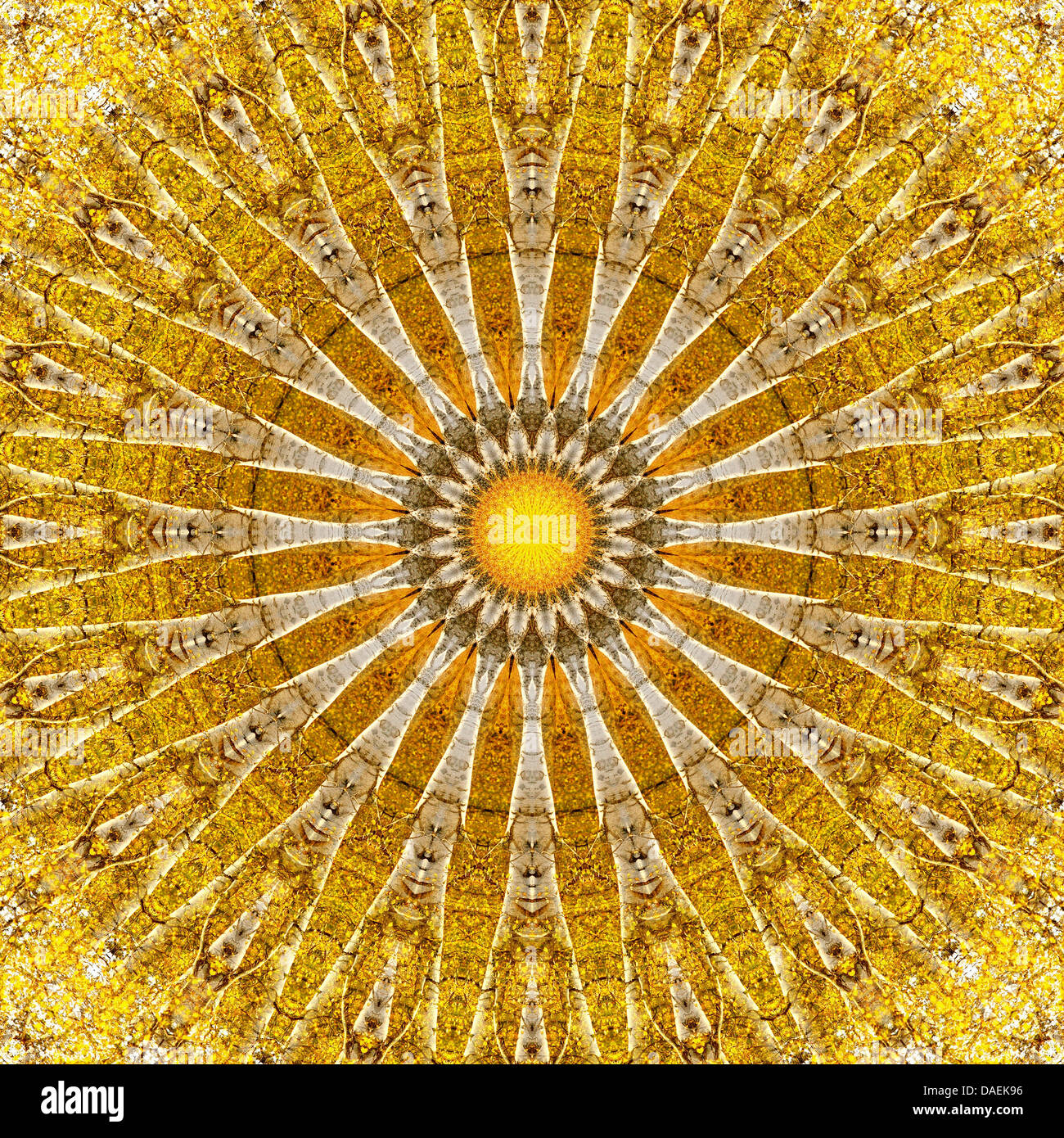 Colouring in and mandalas hi-res stock photography and images - Alamy