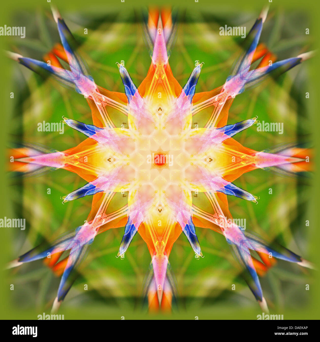 colorful summer mandala Stock Photo - Alamy