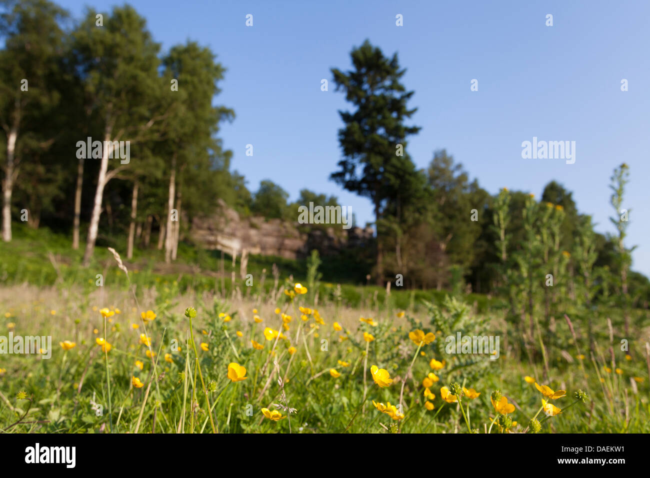 Harrisons Rocks High Resolution Stock Photography and Images - Alamy