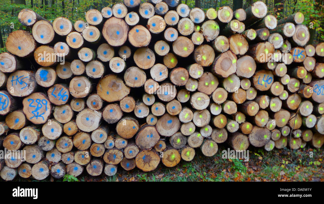 Norway spruce (Picea abies), pile of timber with markings, Germany ...