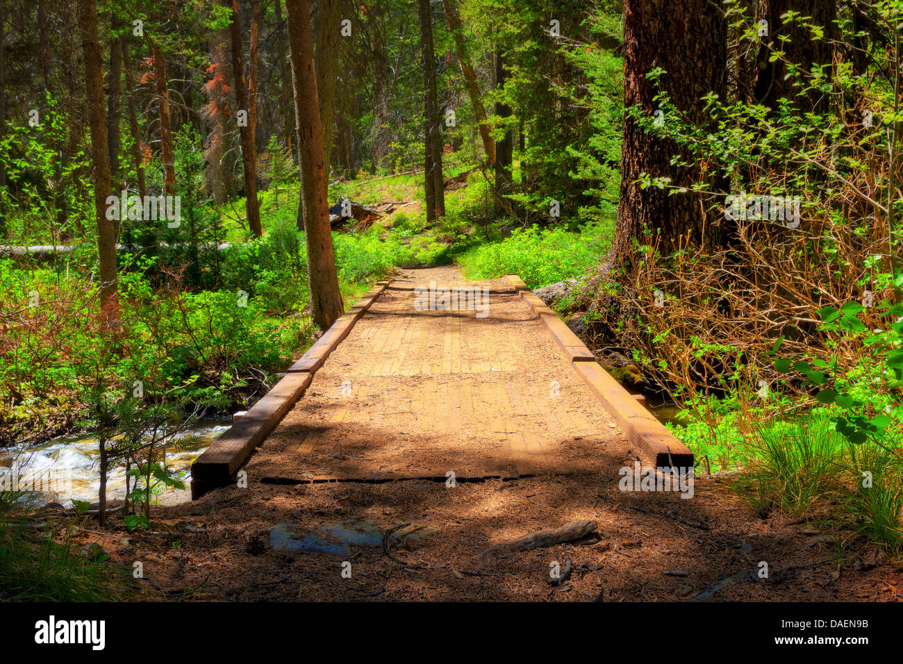 Wood plank bridge hi-res stock photography and images - Alamy