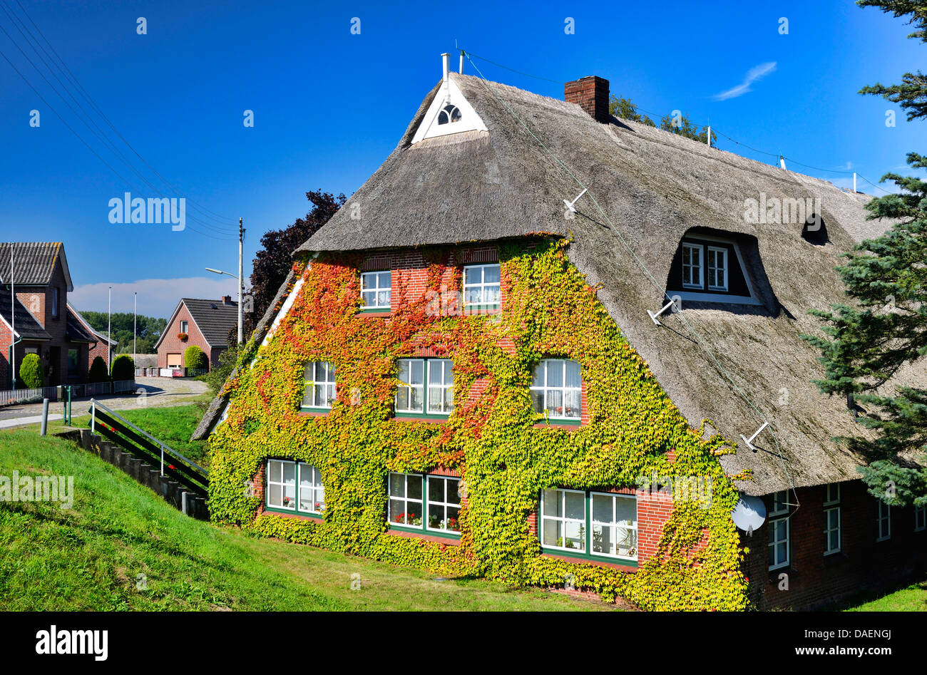 Overgrown Thatched Roof House High Resolution Stock Photography and ...