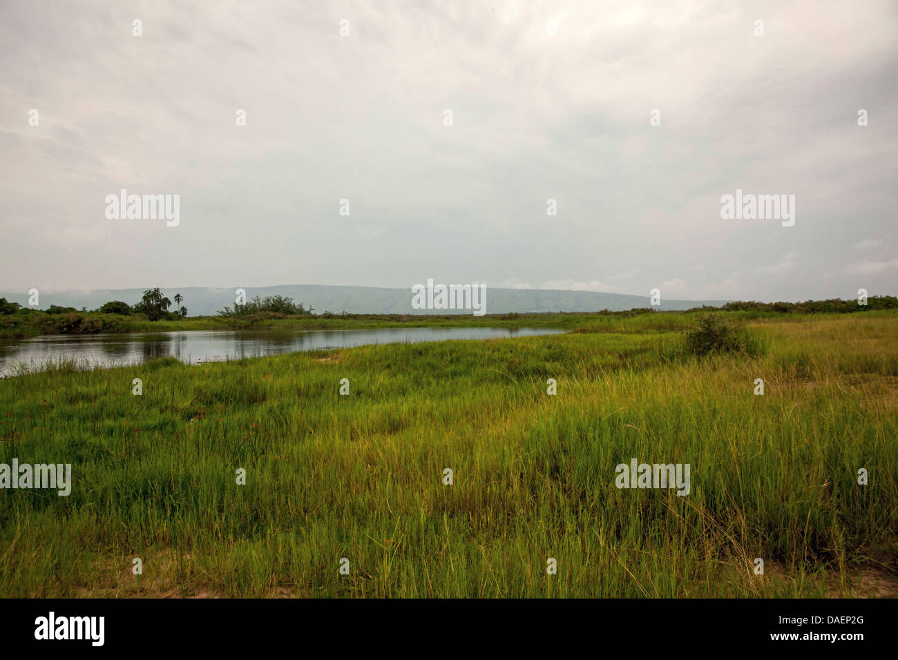 Fen meadows hi-res stock photography and images - Alamy