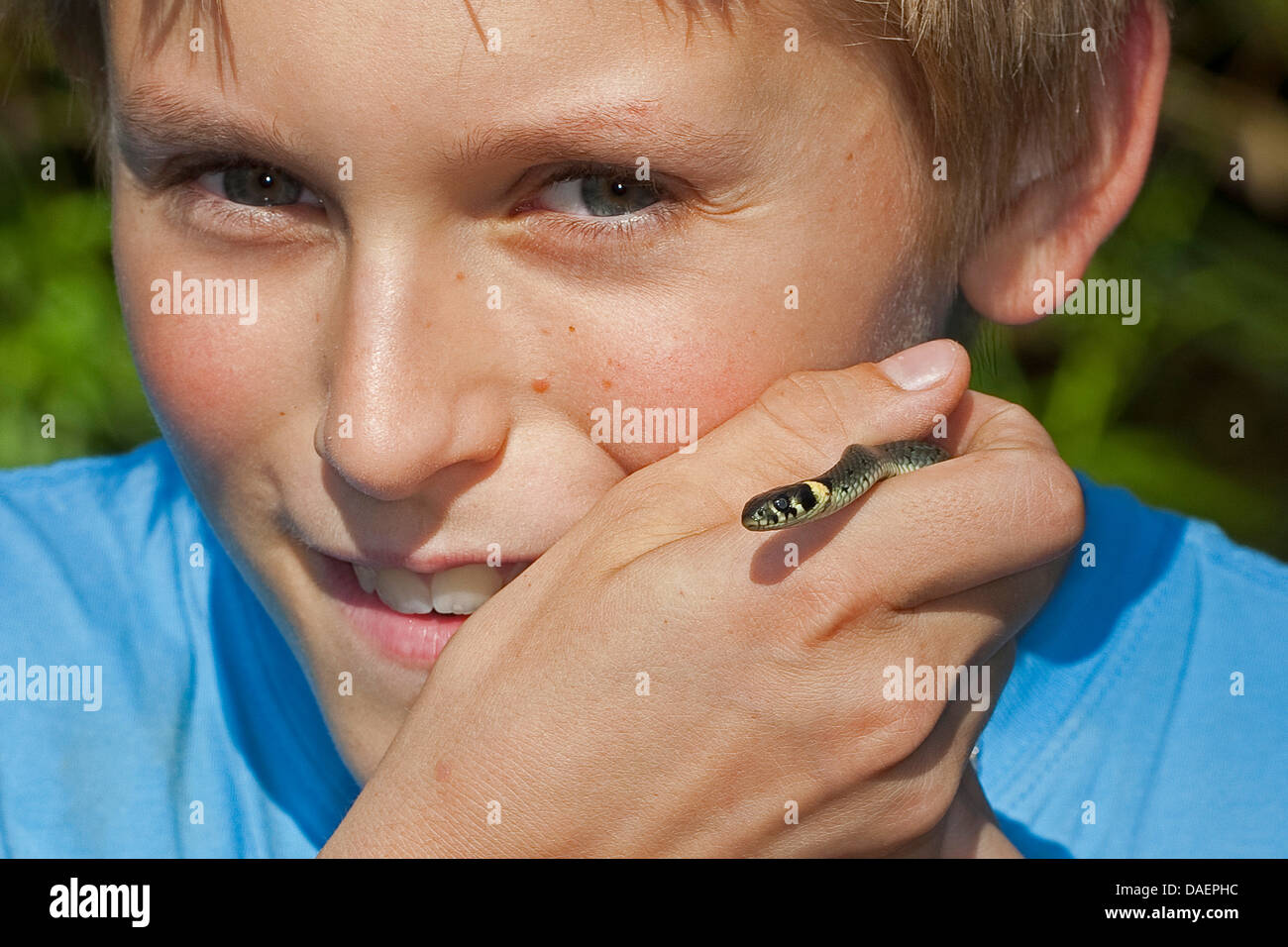 Human snake hi-res stock photography and images - Alamy