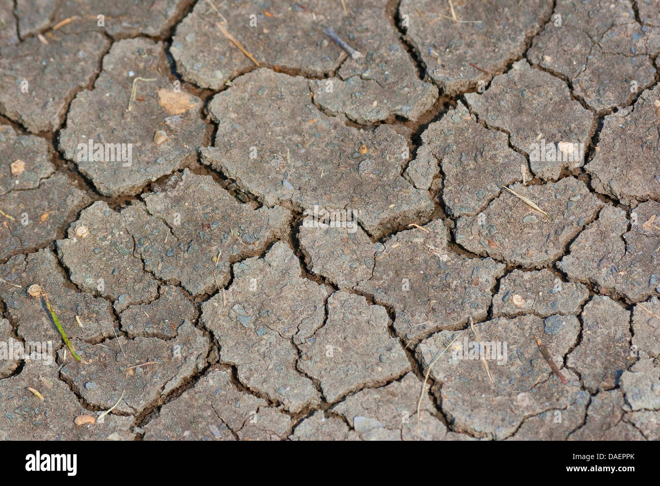 cracks in the mud Stock Photo - Alamy