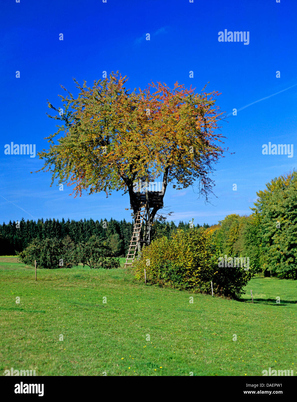 Vertical stand hi-res stock photography and images - Alamy