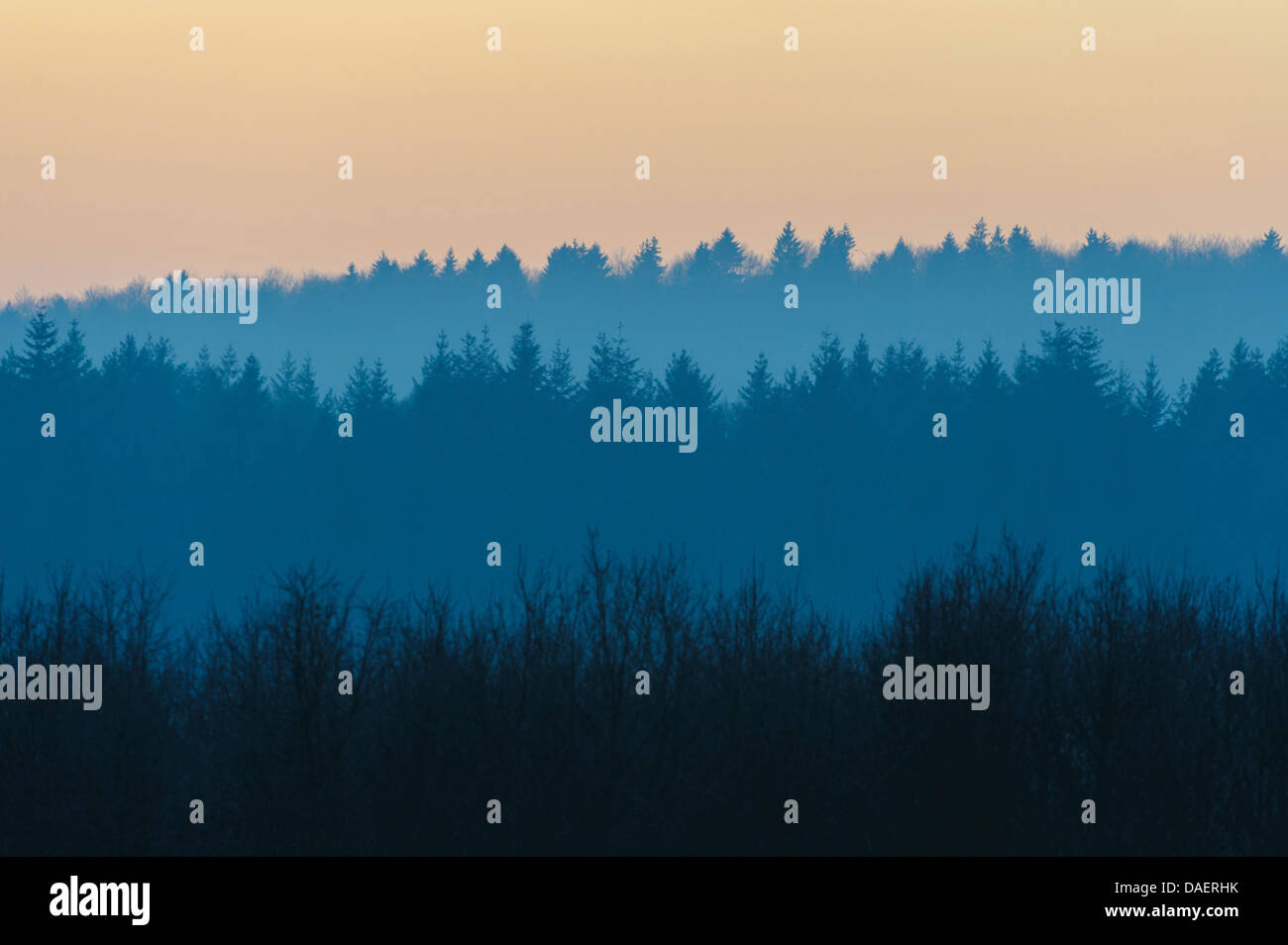 Solling in evening light, Germany, Lower Saxony, Solling Stock Photo ...