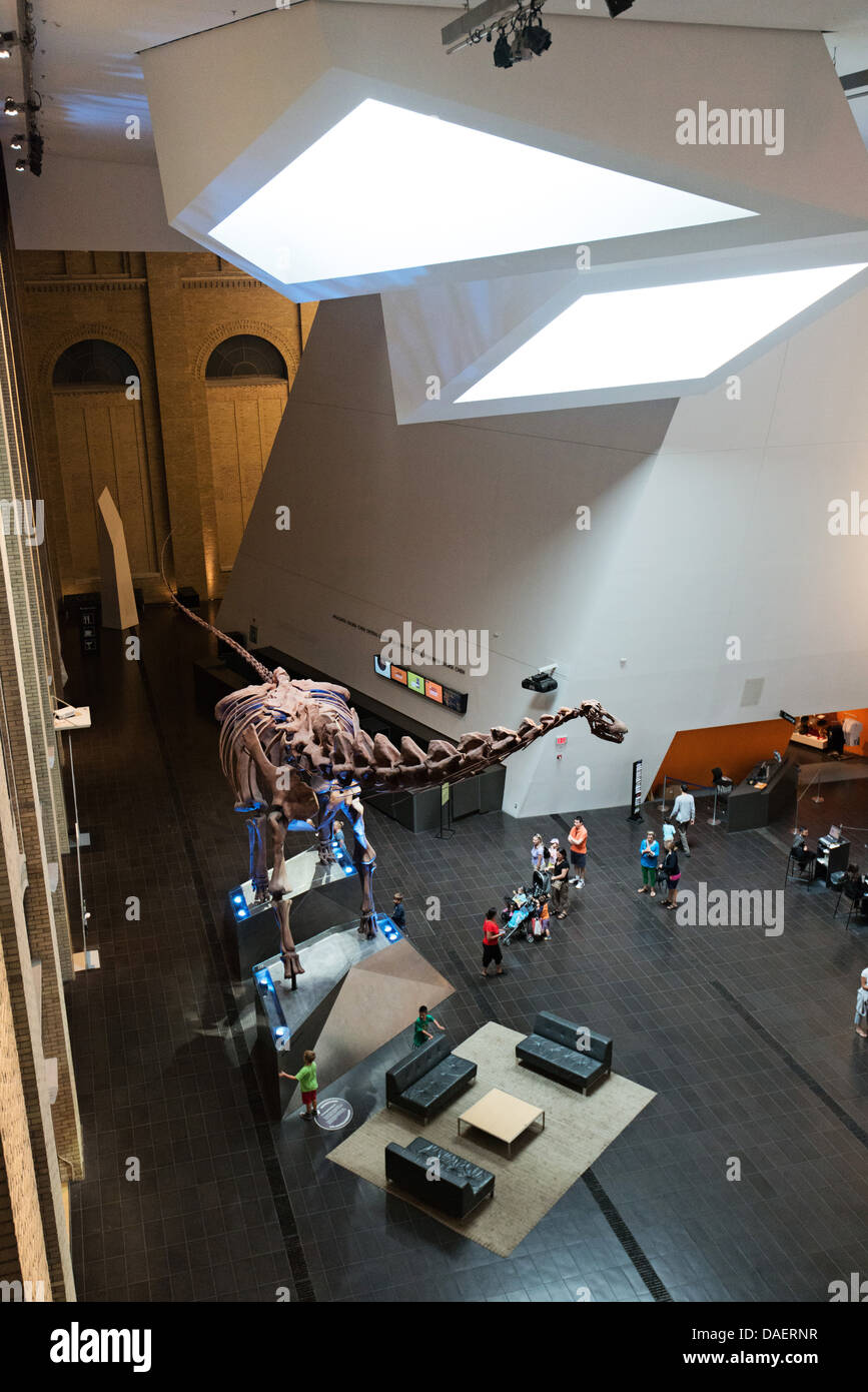 Royal Ontario Museum of world culture and natural history based in ...