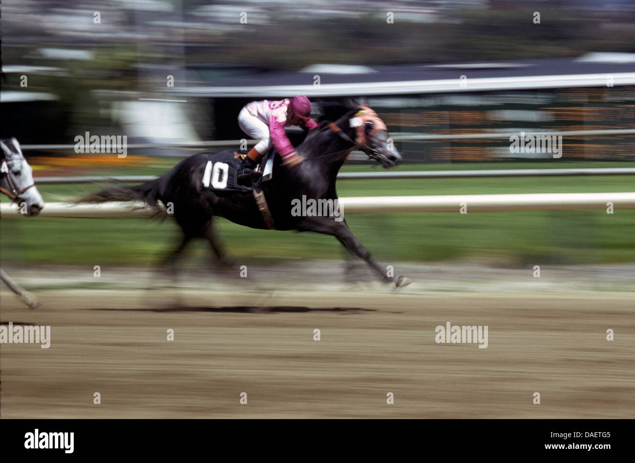Horses running california hi-res stock photography and images - Alamy